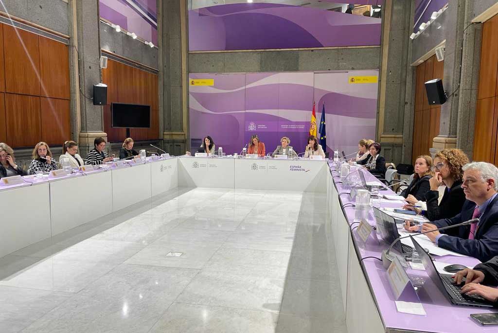El Comité De Crisis De Igualdad Analiza Los Cinco Asesinatos Por